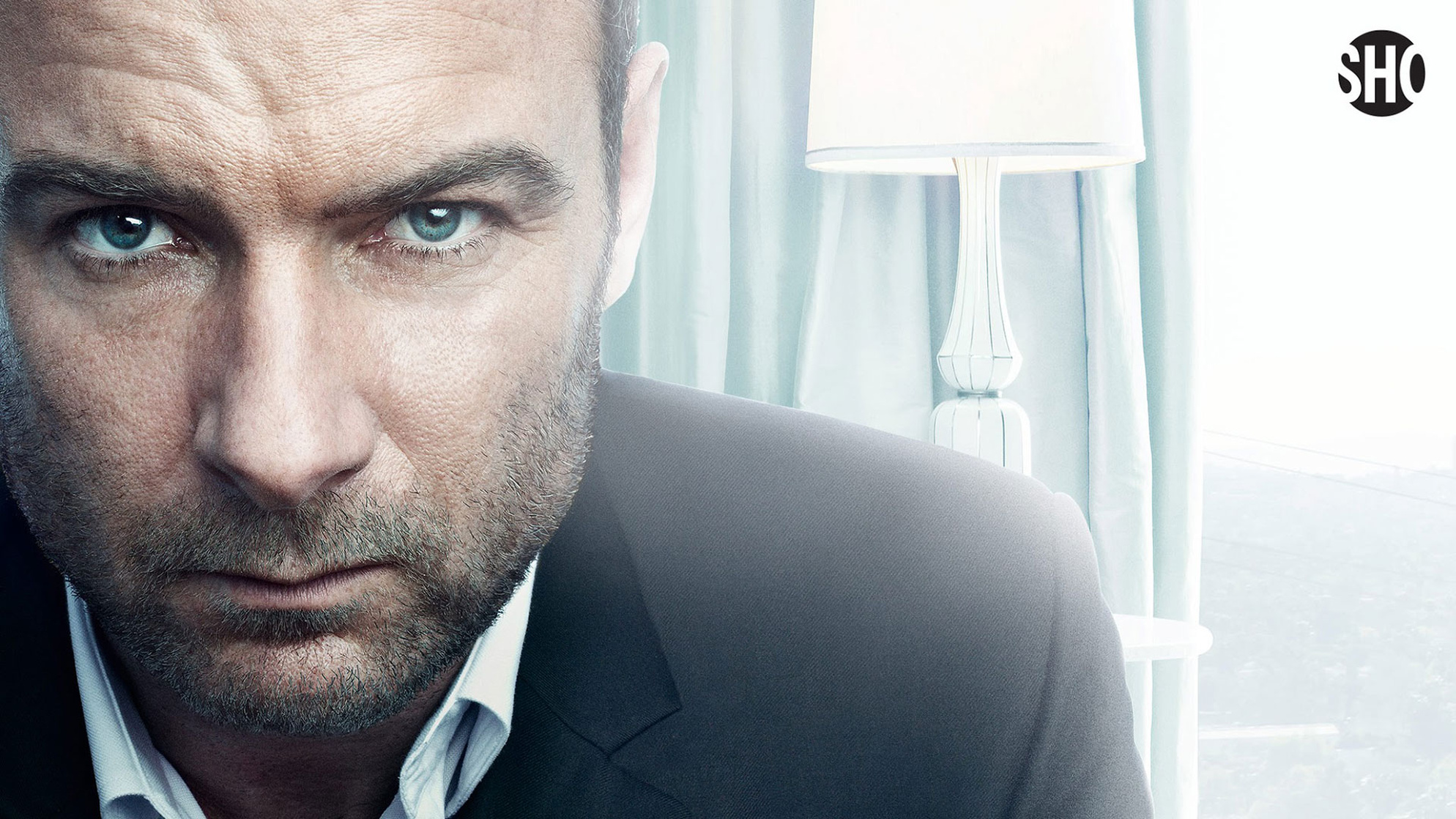 Picture of Ray Donovan