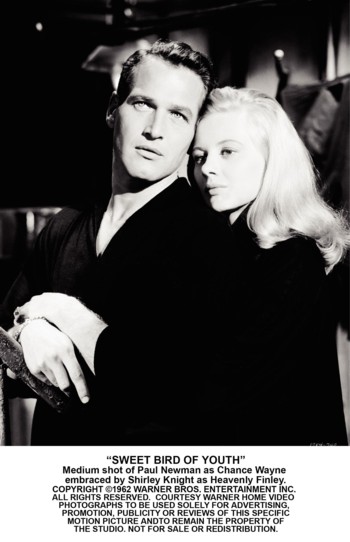 Sweet Bird of Youth picture