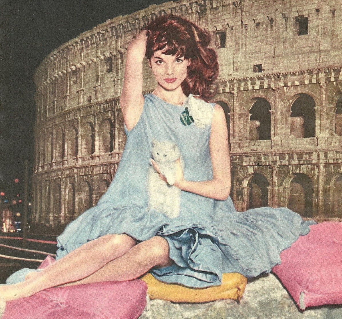 Picture of Elsa Martinelli