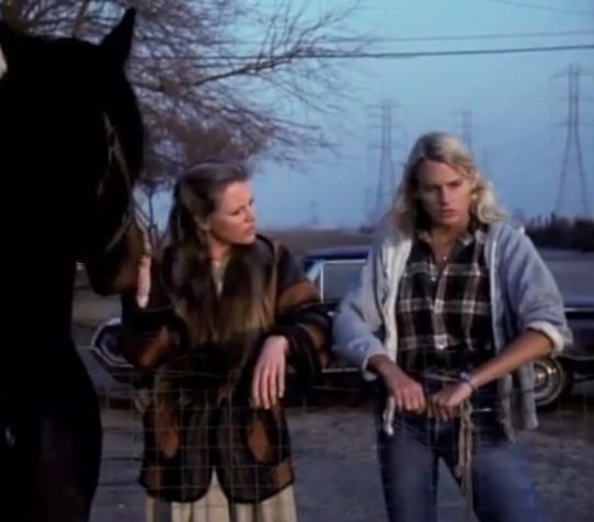 Picture of Hard Country