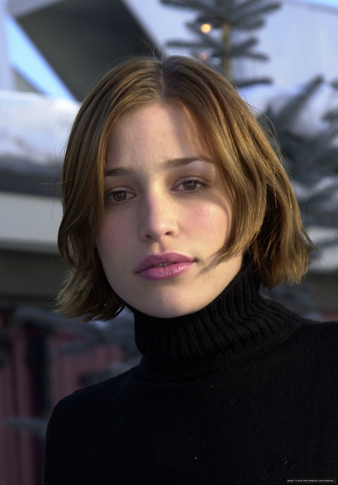 Picture of Piper Perabo