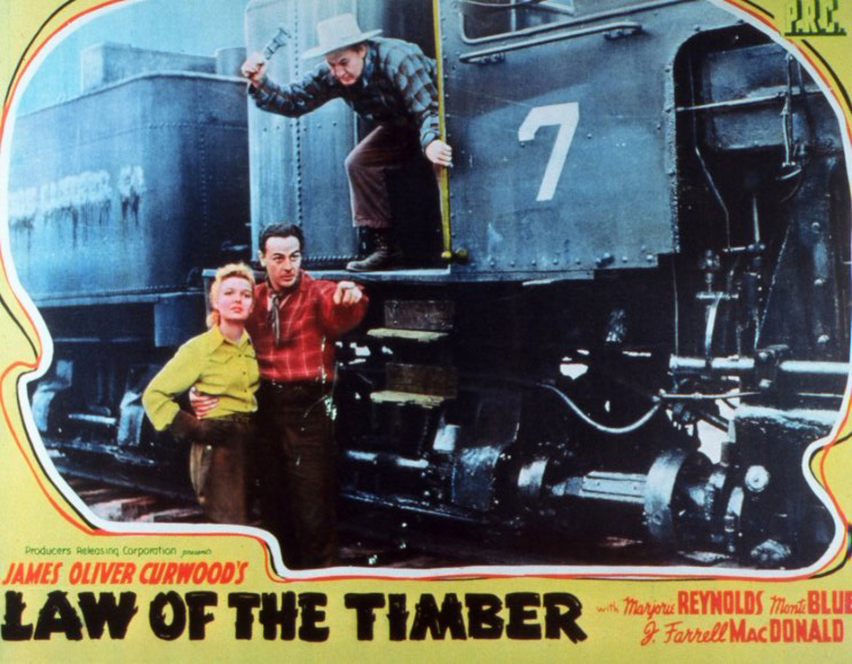 Picture of Law of the Timber