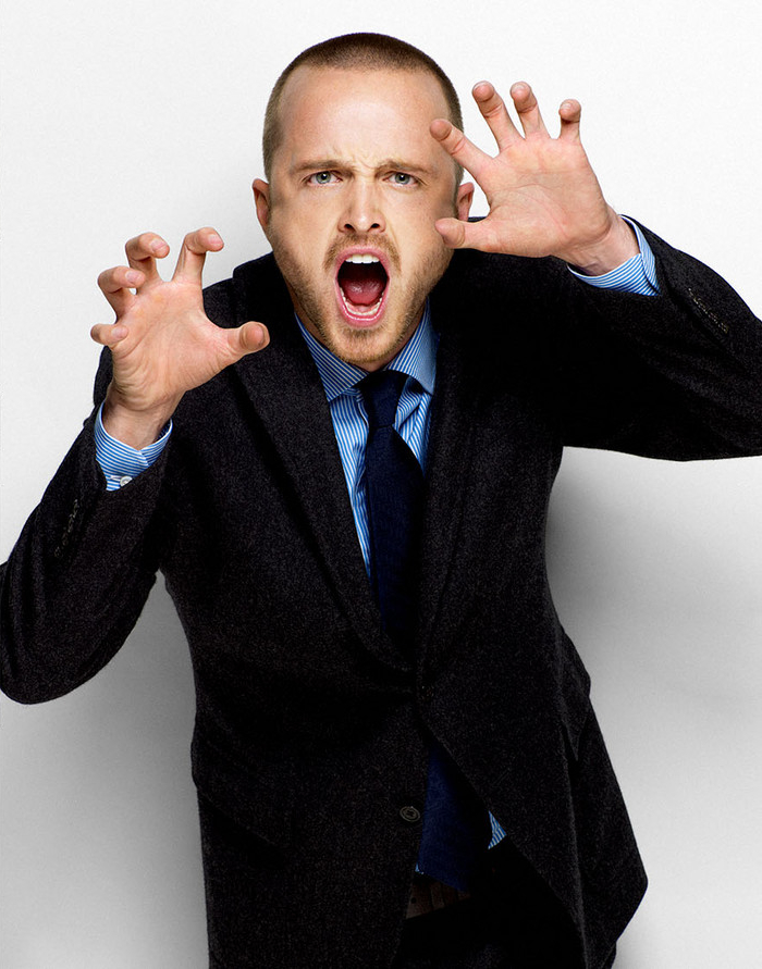 Picture of Aaron Paul