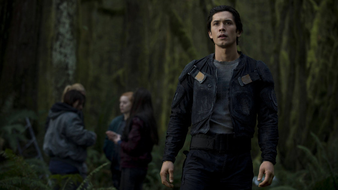 Picture of The 100