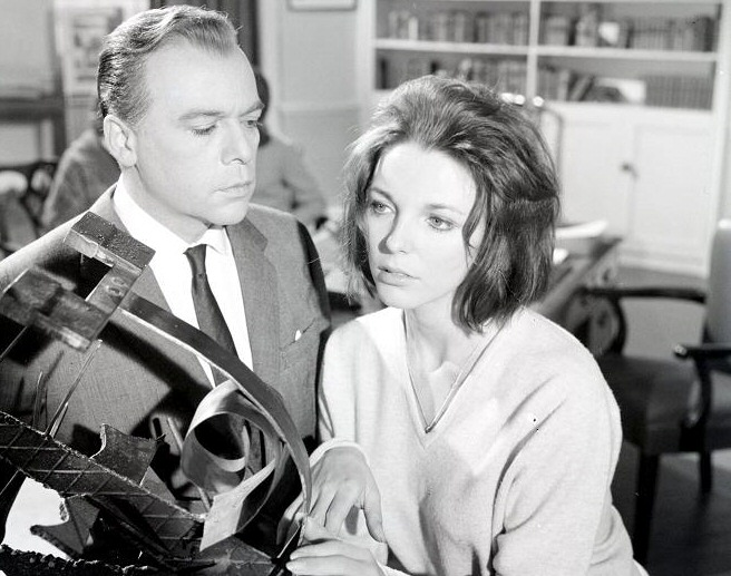 Picture of The Human Jungle