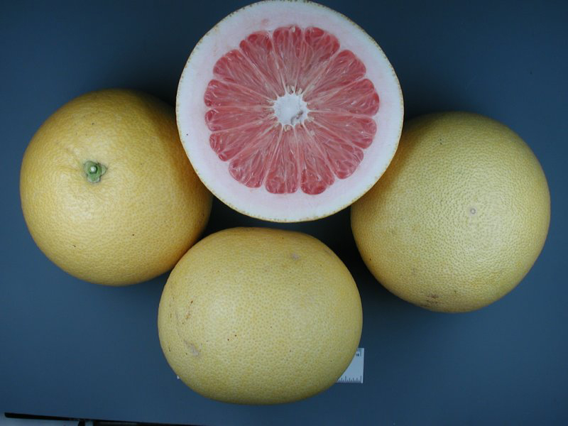 Picture of Pummelo