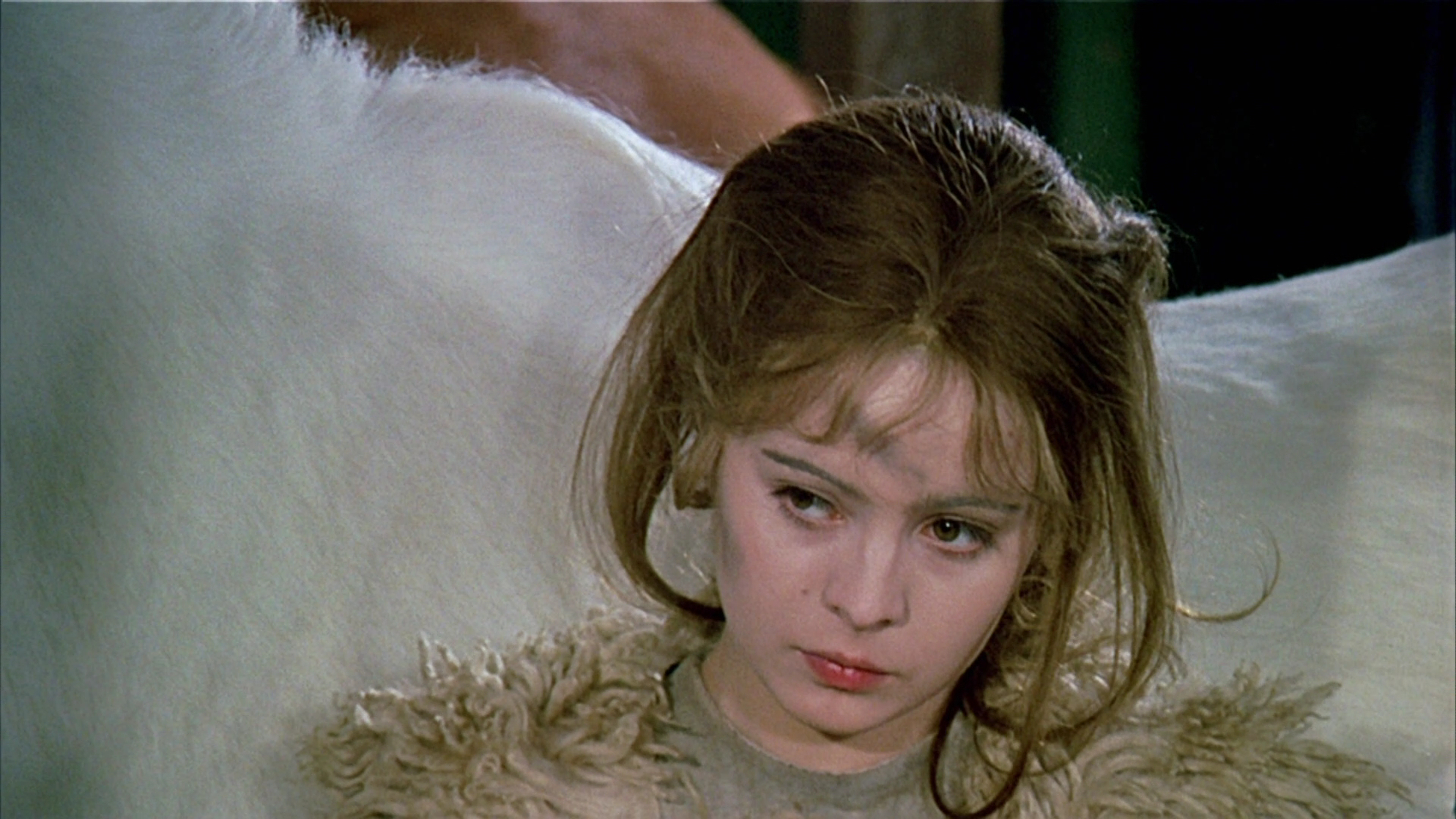 Libuše Šafránková