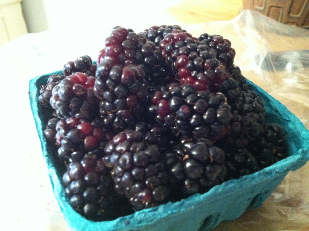 Olallieberry picture