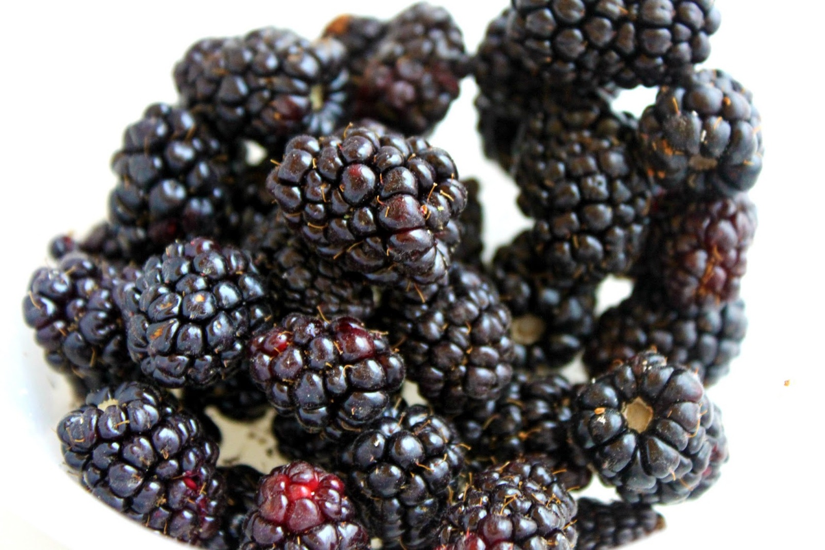 Picture of Olallieberry
