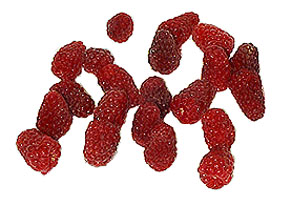 Picture of Loganberry