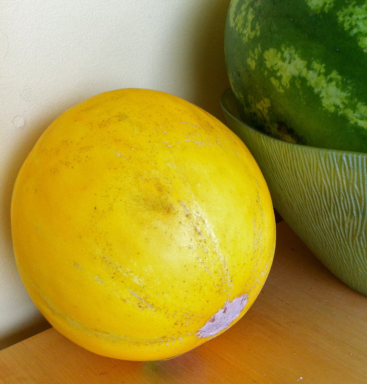 Image of Casaba Melon