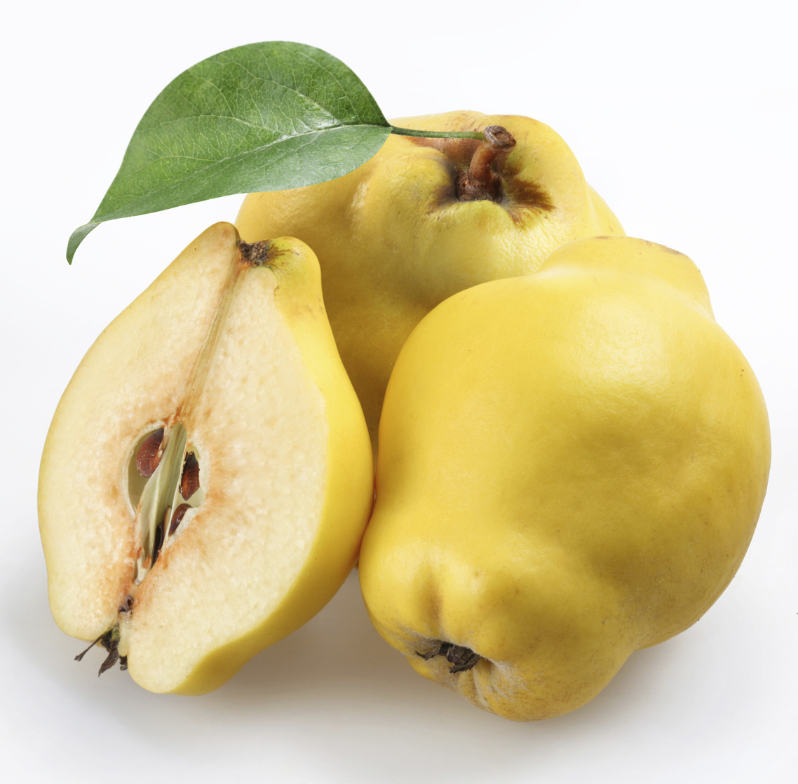 Picture of Quince