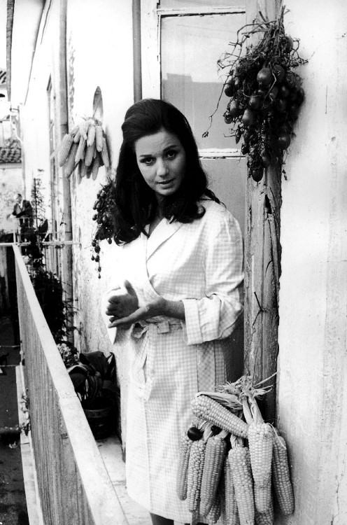 Pupetta Maresca image