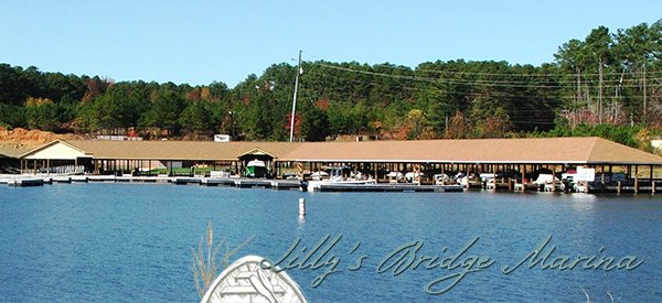 Marina Lake Tillery
