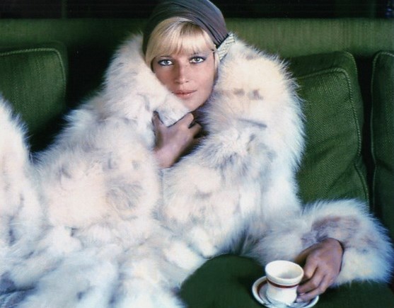 Picture of Monica Vitti