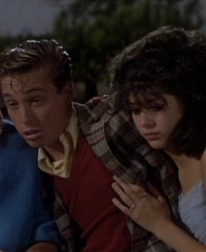 Picture of The Flamingo Kid