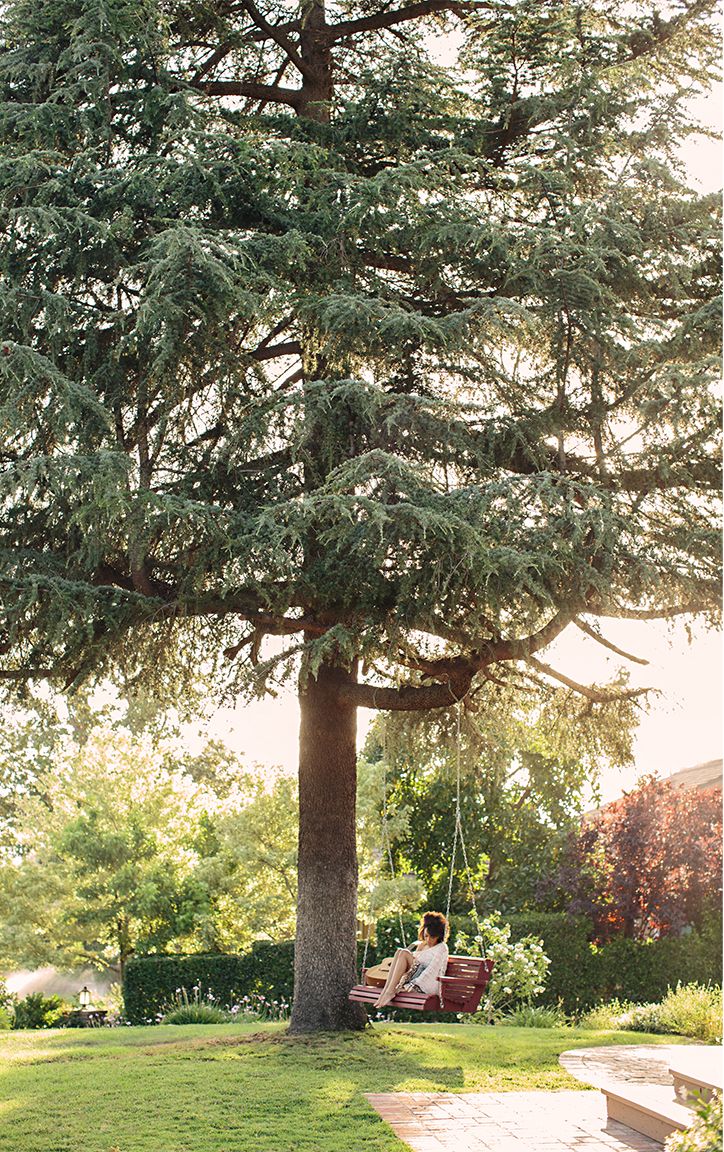 Picture of Andy Allo
