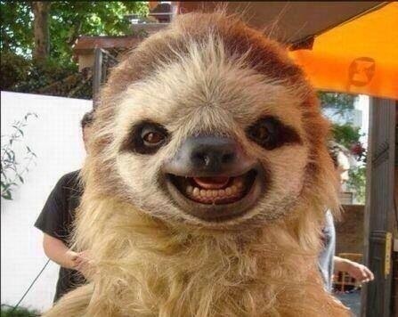 Sloth