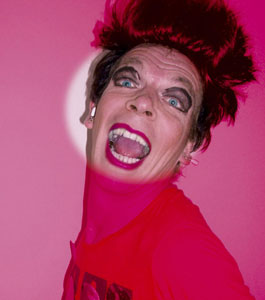 David Hoyle image