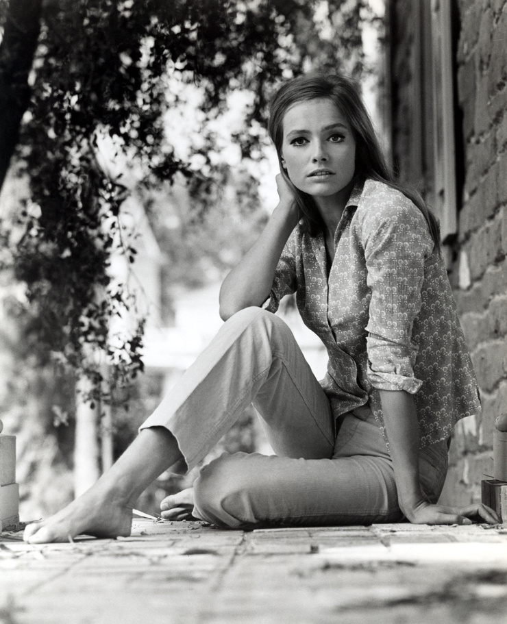 The Pink Jungle image