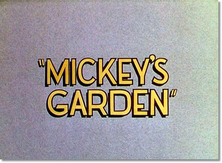 Picture of Mickey's Garden