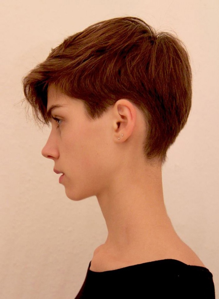 Picture of Eli Bauer.