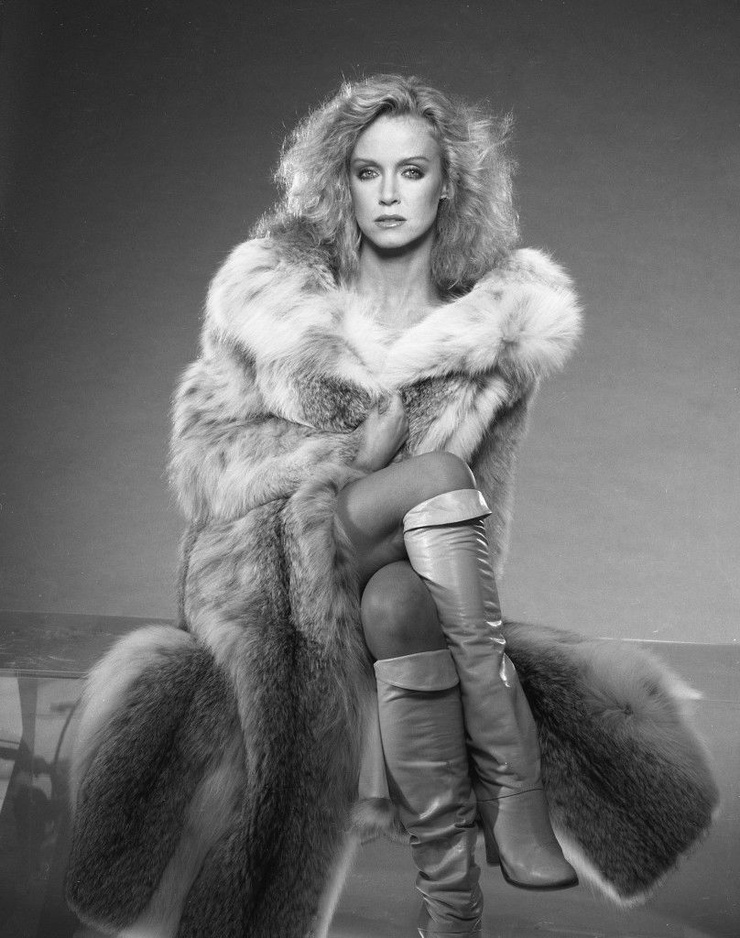 Picture of Donna Mills