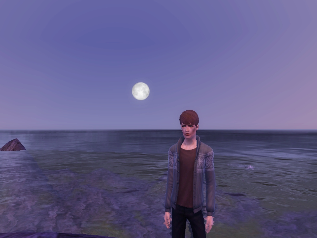 Picture of The Sims 3