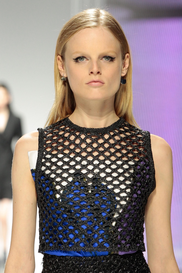 Picture of Hanne Gaby Odiele