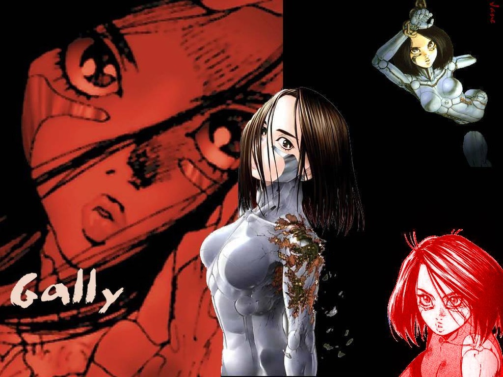 Picture of Alita / Gally