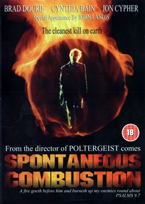 Picture of Spontaneous Combustion