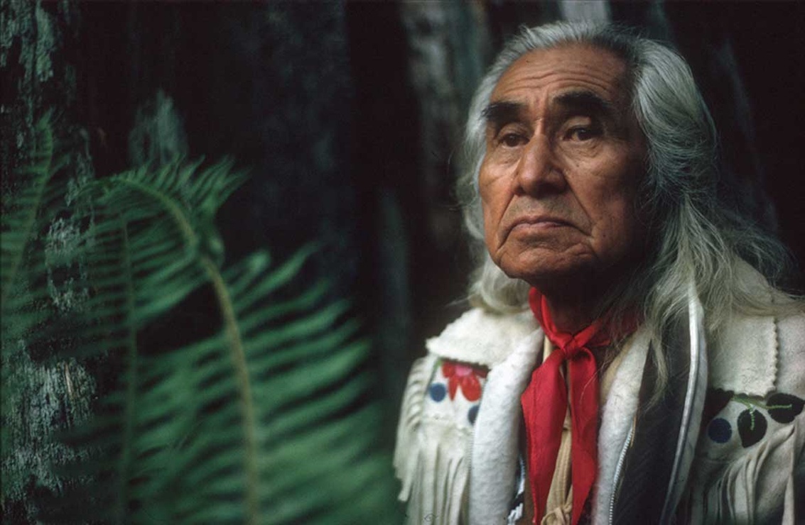 Picture of Chief Dan George