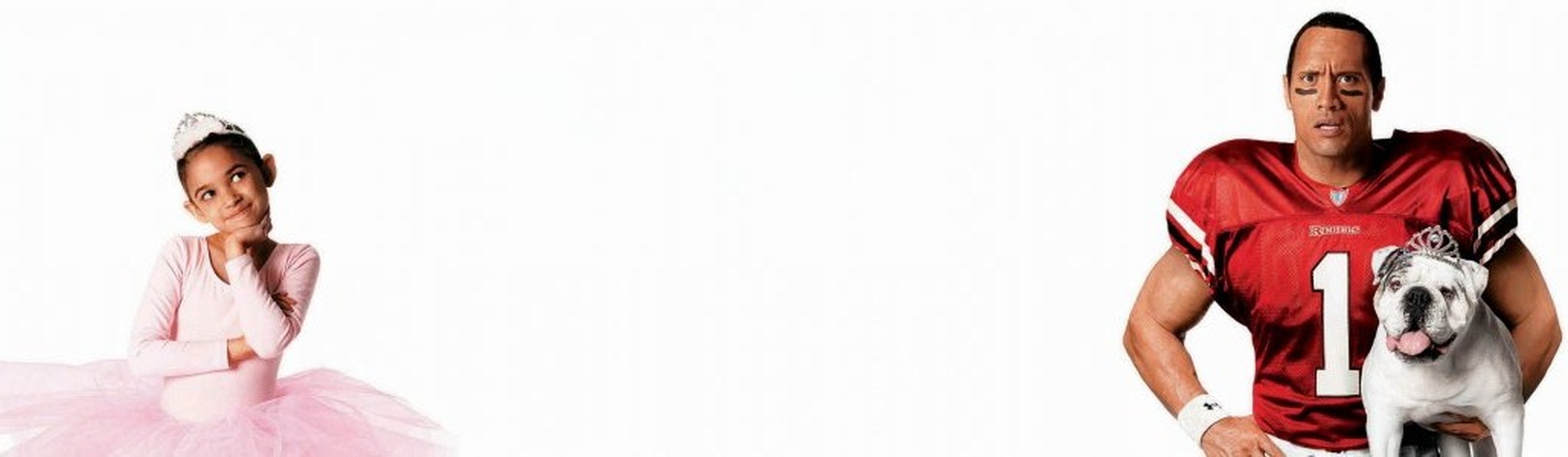 Click Image to Enlarge