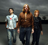 Picture of Spiderbait