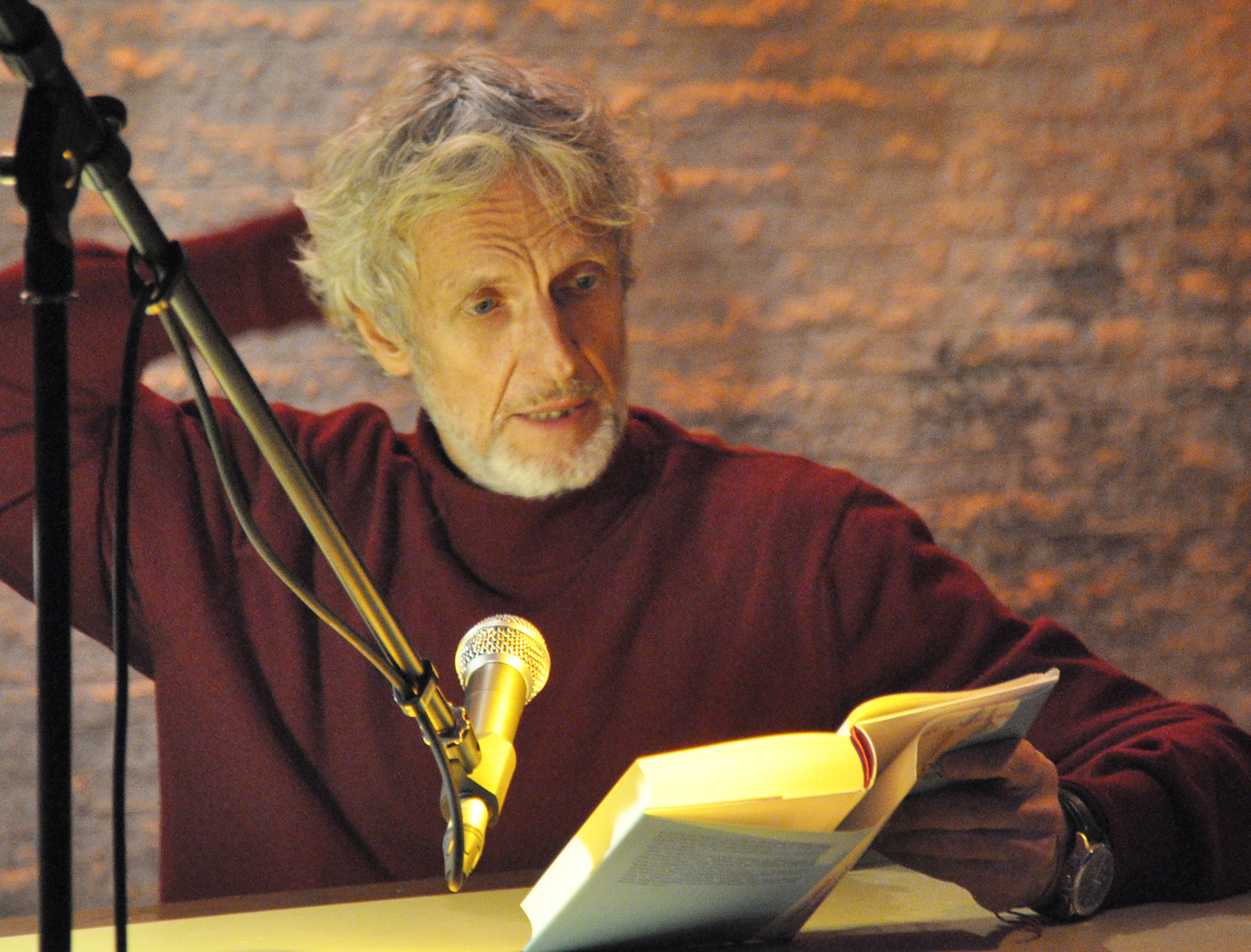 Mathieu Carrière picture