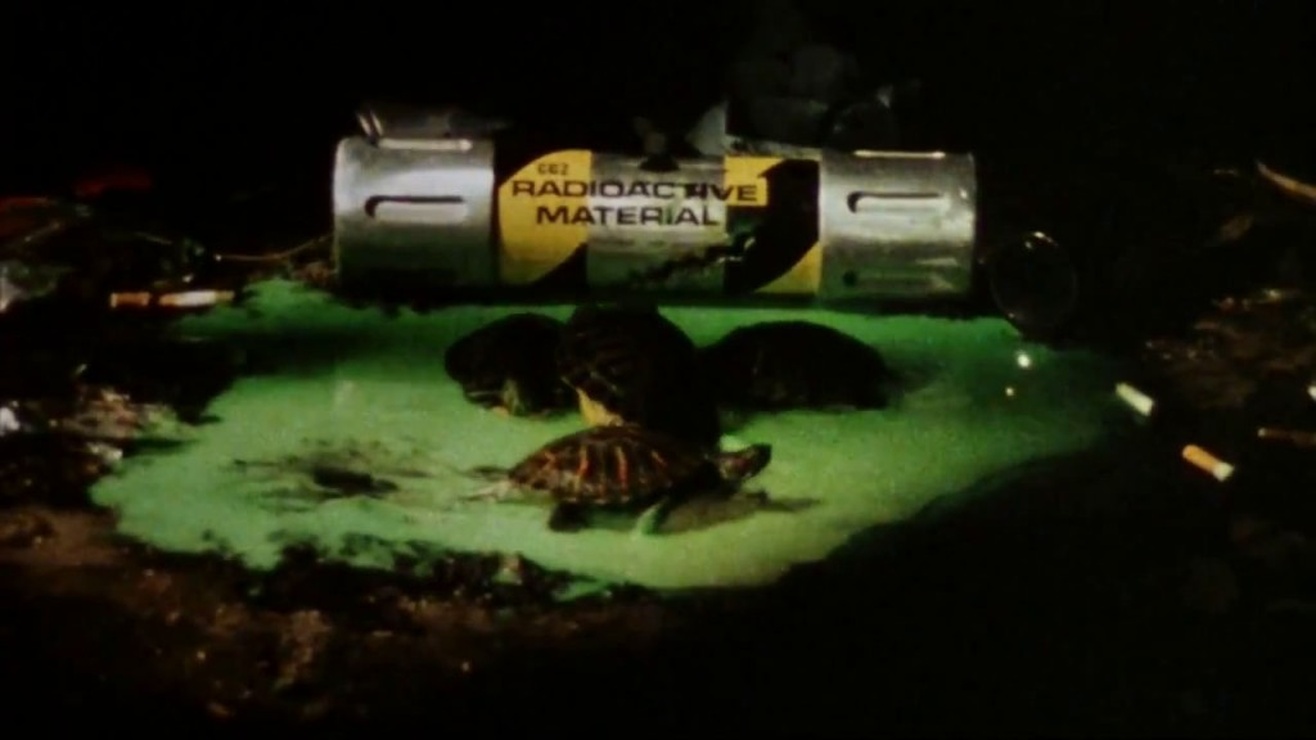 Image of Teenage Mutant Ninja Turtles