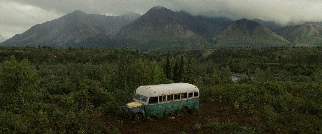 Picture of Into the Wild