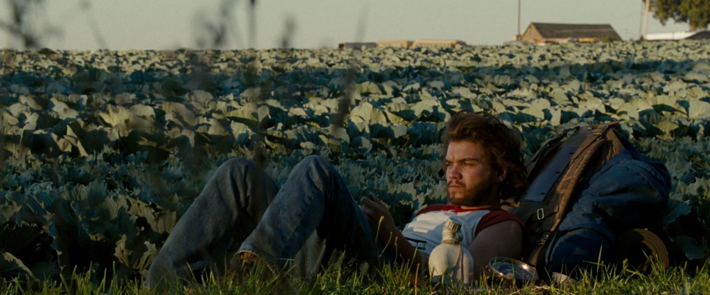 Picture of Into the Wild