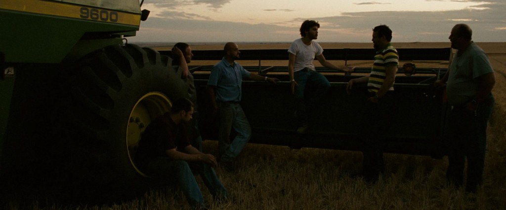 Picture of Into the Wild