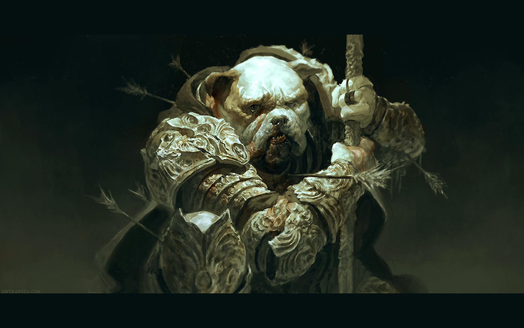 Image of David Rapoza