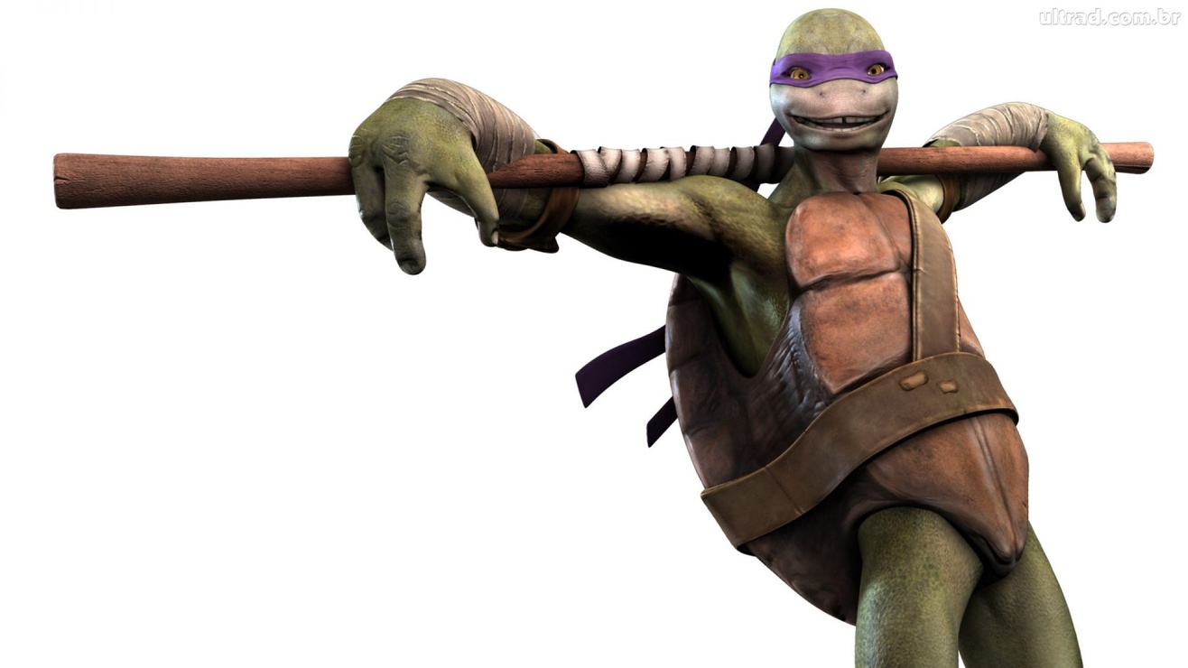 Picture of Donatello