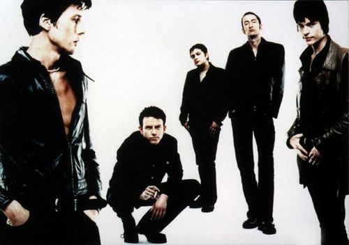 Suede image
