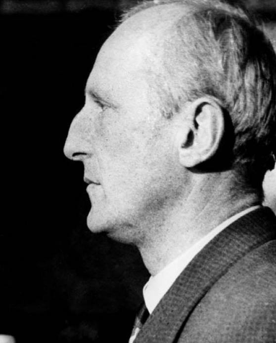 Picture of Bourvil