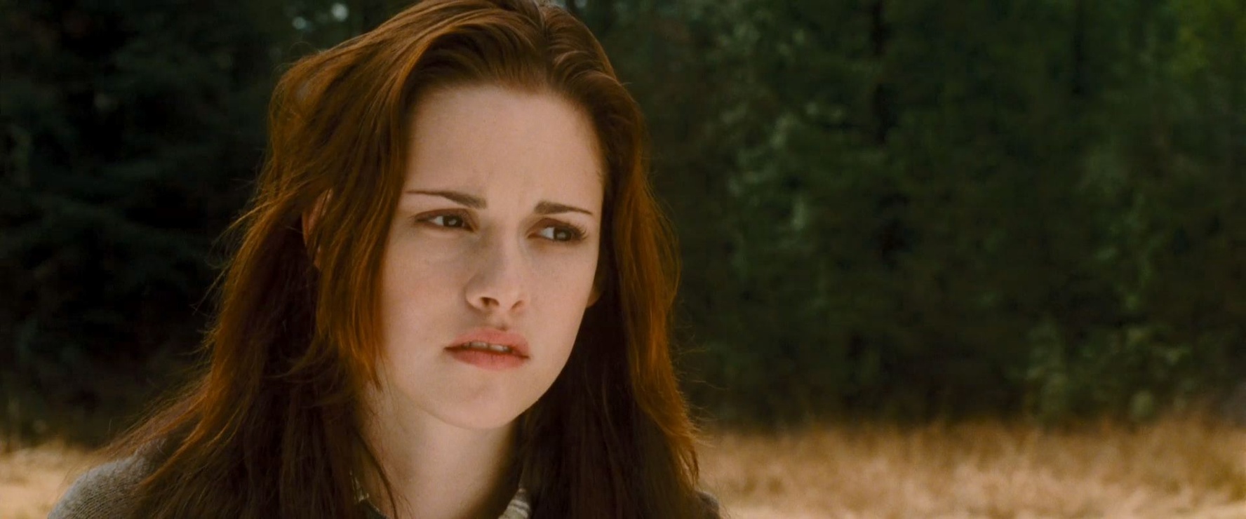 Picture of The Twilight Saga: New Moon