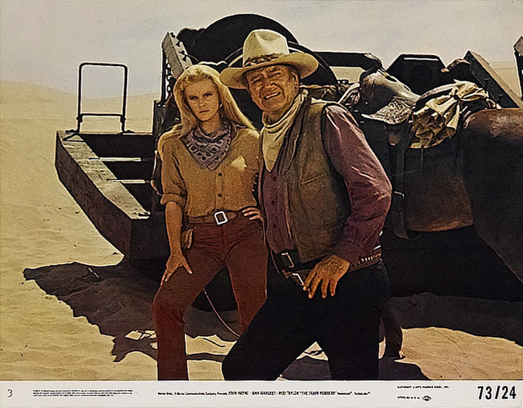 Picture of The Train Robbers