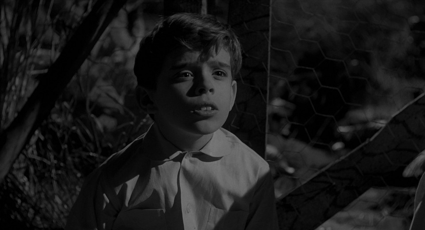 Picture of John Megna