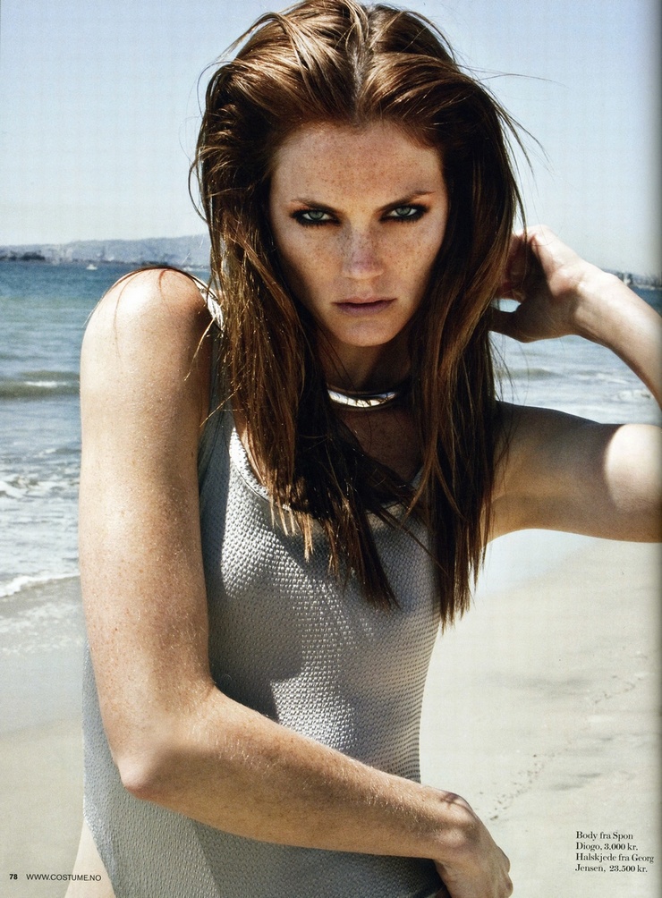 Picture of Mini Anden