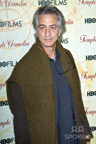 Picture of David Strathairn