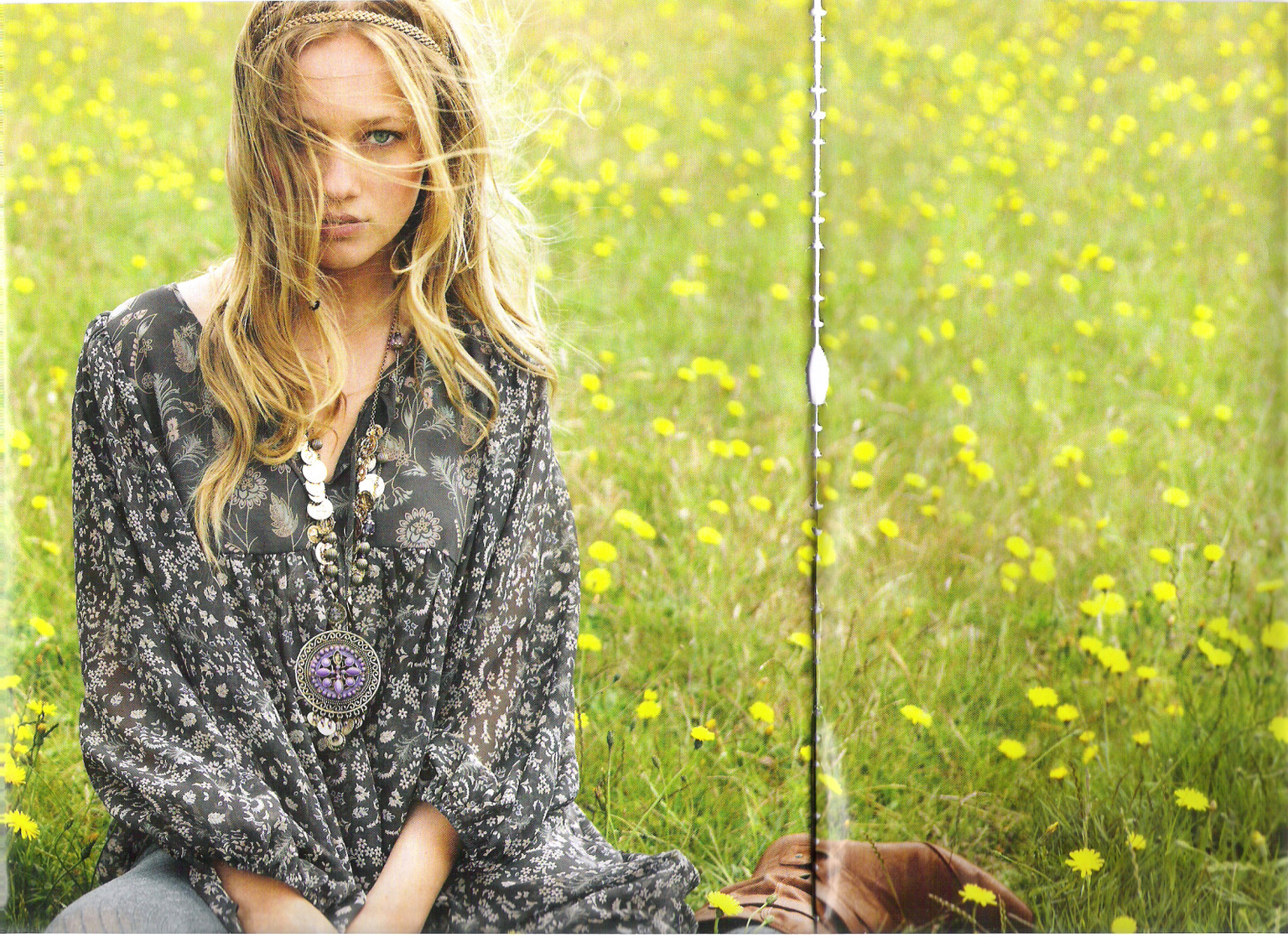 Picture of Zippora Seven