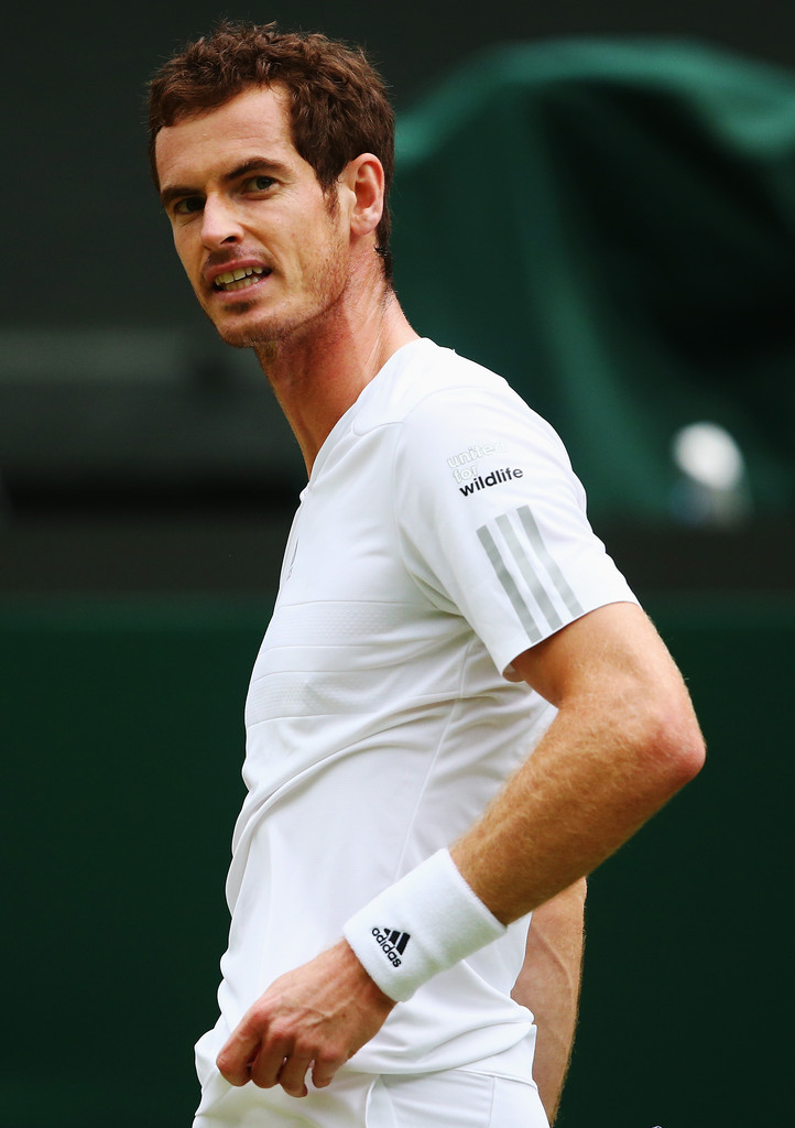 Picture of Andy Murray